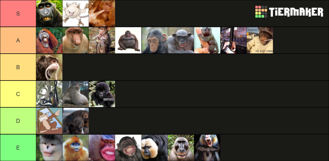 monkey Tier List (Community Rankings) - TierMaker