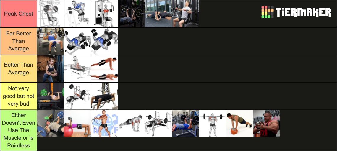 The Ultimate Chest Exercise Tier List Community Rankings TierMaker the-ultimate-chest-exercise-tier-list-community-rankings-tiermaker