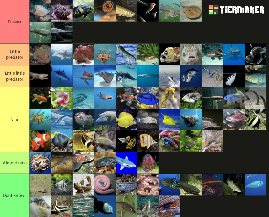 Fish Tier List (Community Rankings) - TierMaker