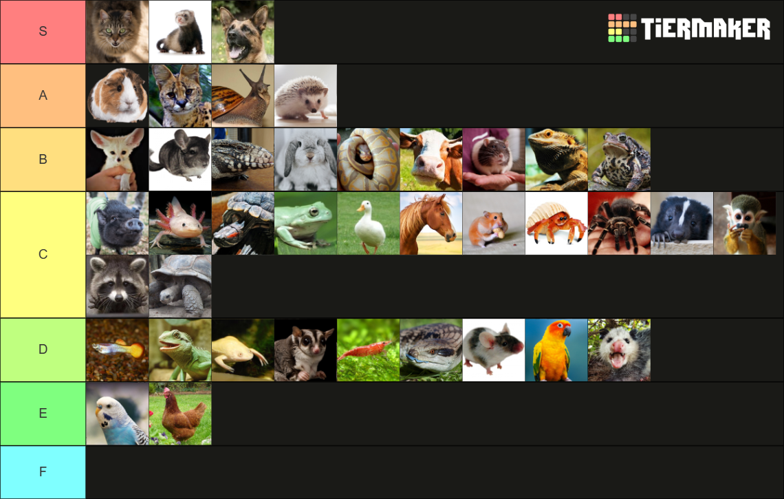 ULTIMATE PET TIER LIST Tier List (Community Rankings) - TierMaker