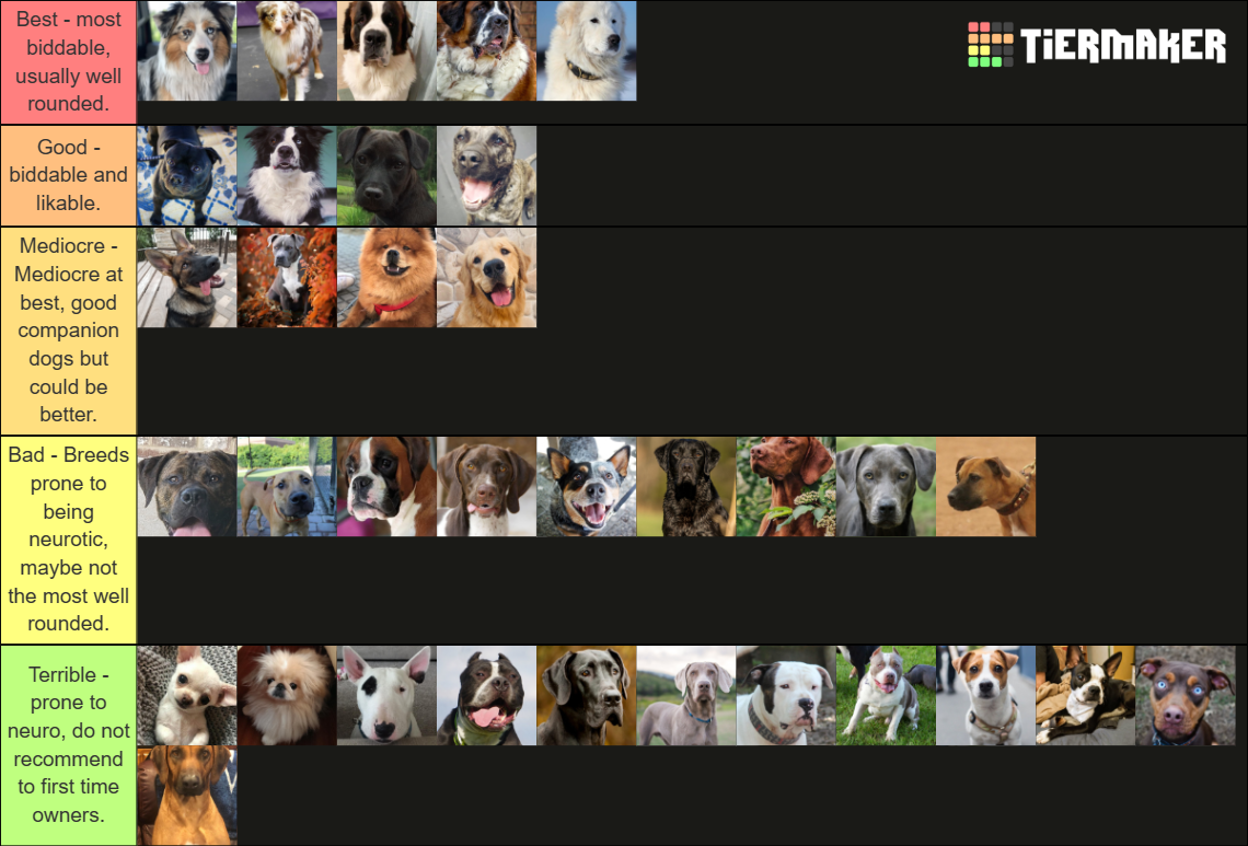 Dog breeds ranked Tier List (Community Rankings) - TierMaker