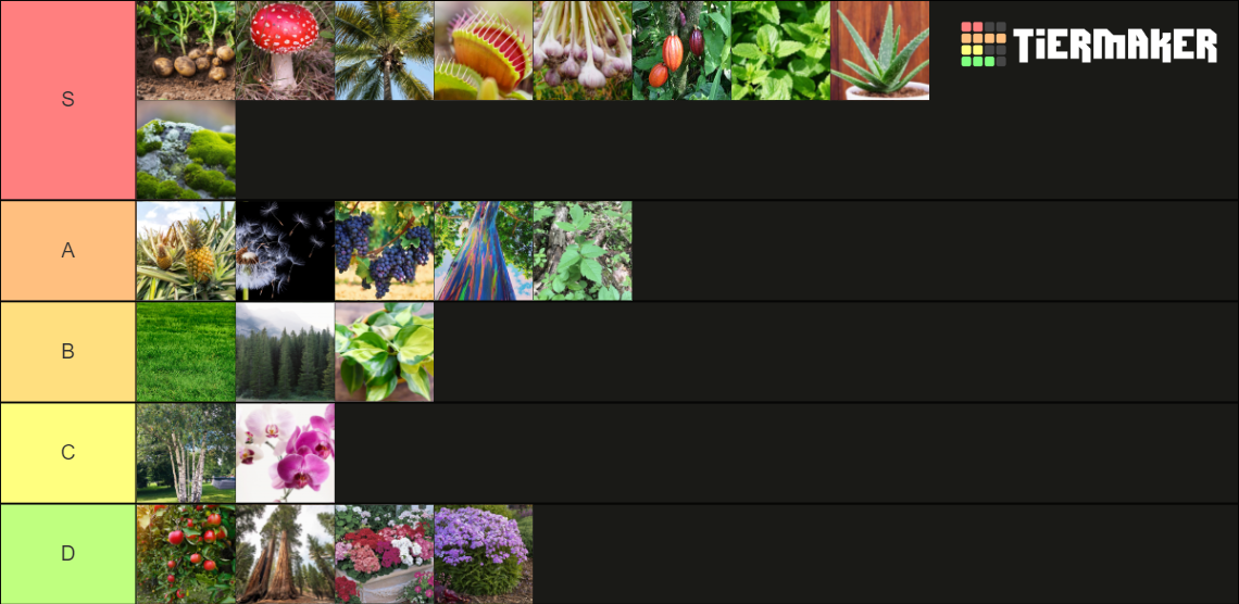 Plant Tier List (Community Rankings) - TierMaker