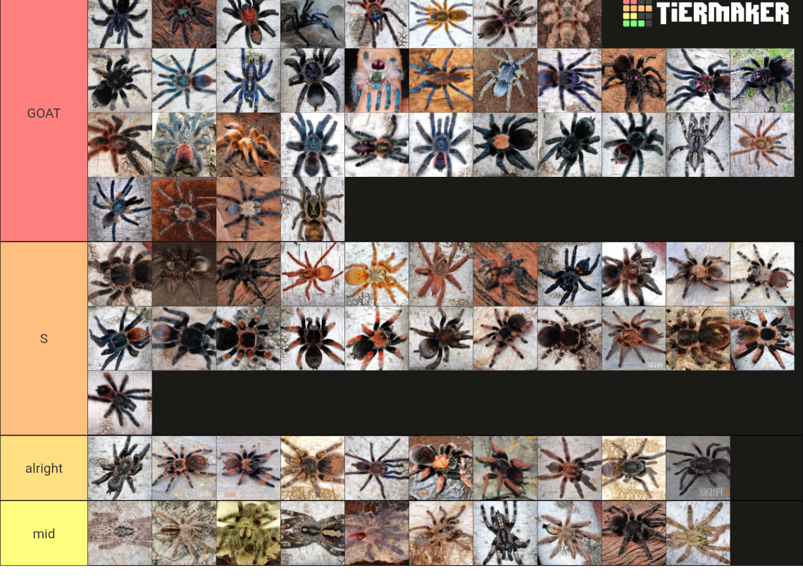 tarantula Tier List (Community Rankings) - TierMaker