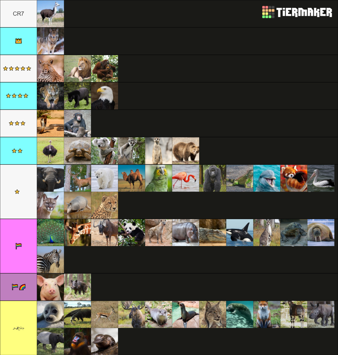Zoo Animals Tier List (Community Rankings) - TierMaker