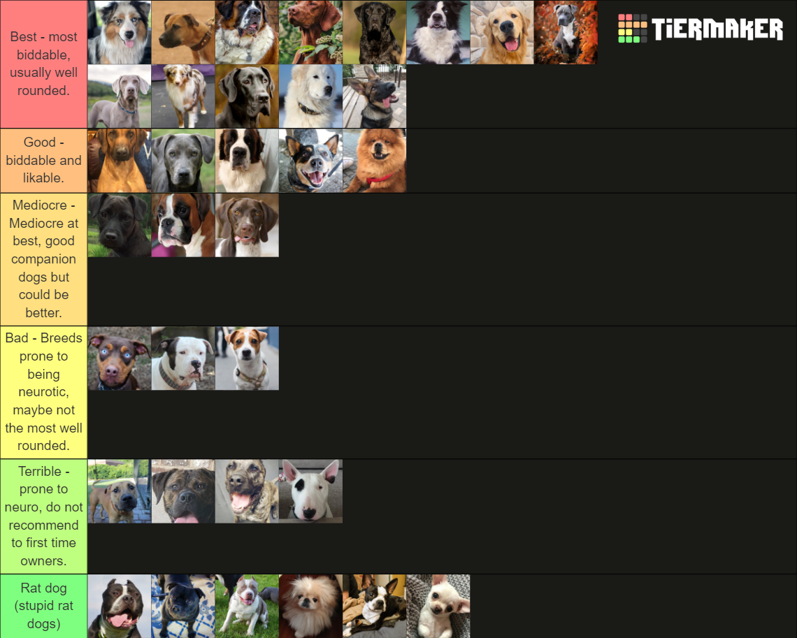 Dog breeds ranked Tier List (Community Rankings) - TierMaker