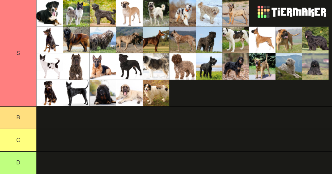 Guardian Dog Breed Tier List (Community Rankings) - TierMaker