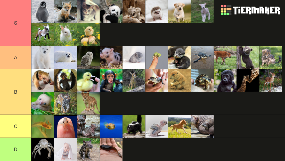 Cutest Baby Animals Tier List (Community Rankings) - TierMaker