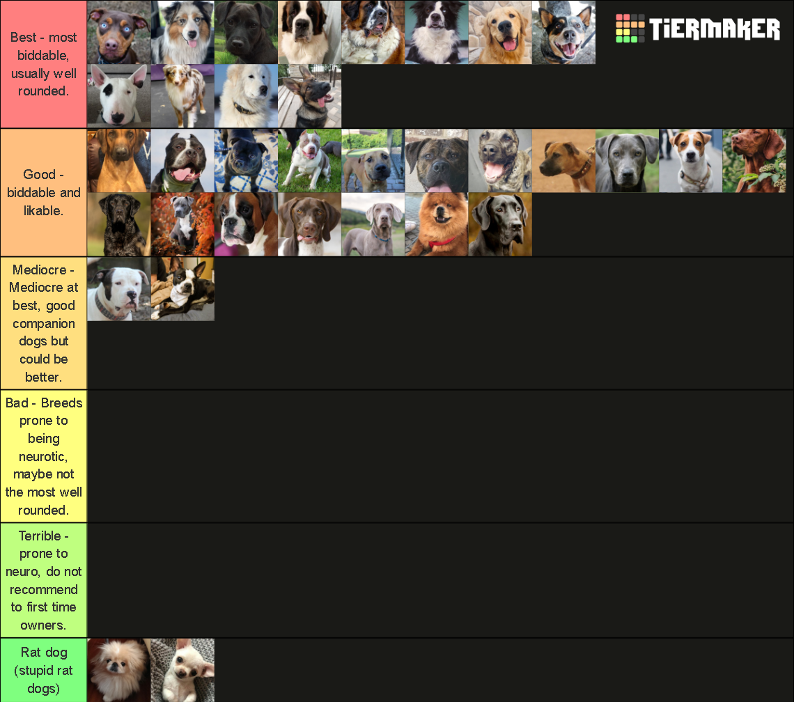 Dog breeds ranked Tier List (Community Rankings) - TierMaker