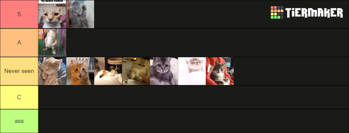 cat gifs Tier List (Community Rankings) - TierMaker