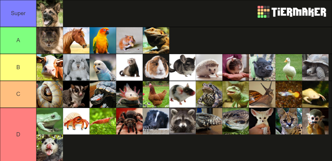 Recent Animals Tier Lists - TierMaker