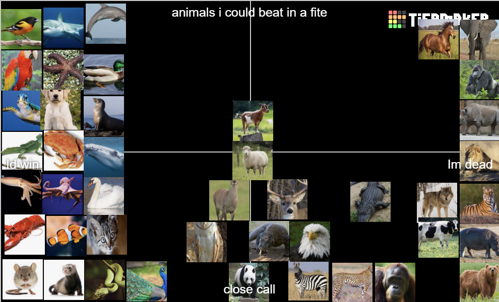New Alignment Charts - TierMaker