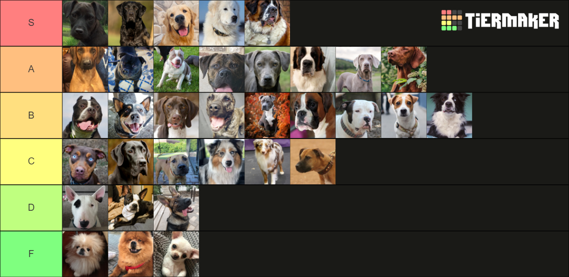 Dog breeds ranked Tier List (Community Rankings) - TierMaker