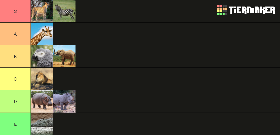 African animal🦜 Tier List (Community Rankings) - TierMaker