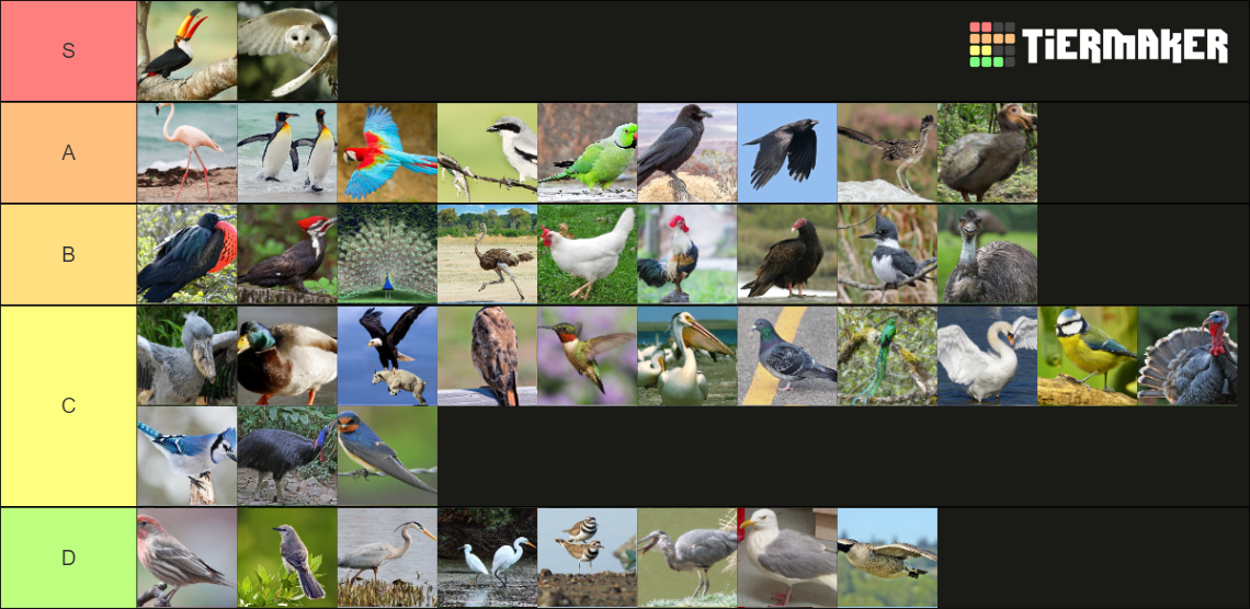 Bird TierList Tier List (Community Rankings) - TierMaker