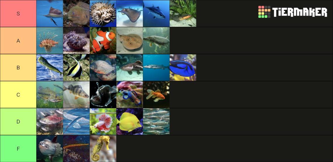 Fish Tier List (Community Rankings) - TierMaker