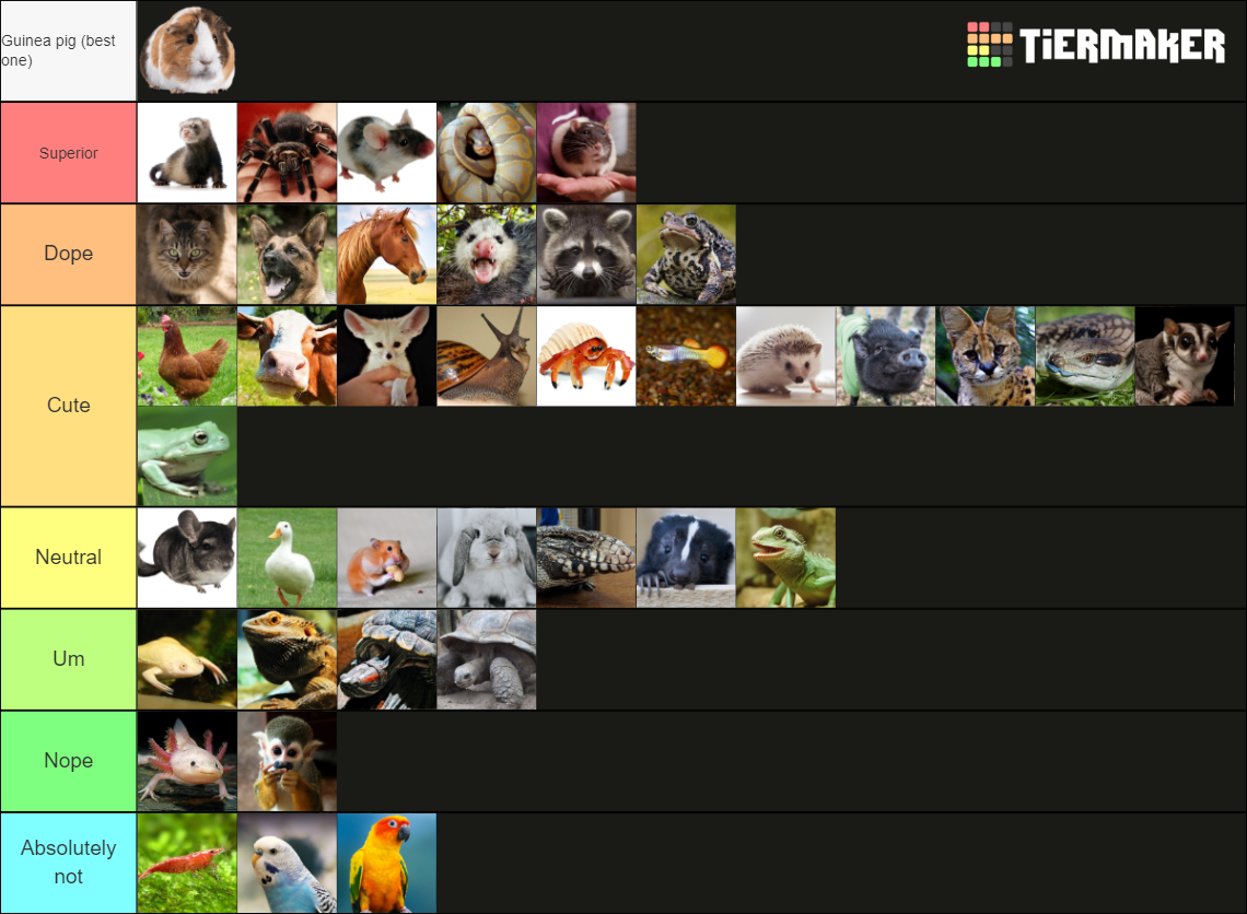 ULTIMATE PET TIER LIST Tier List (Community Rankings) - TierMaker