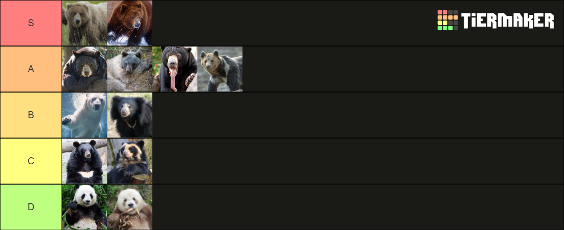 Bear Species Tier List (Community Rankings) - TierMaker