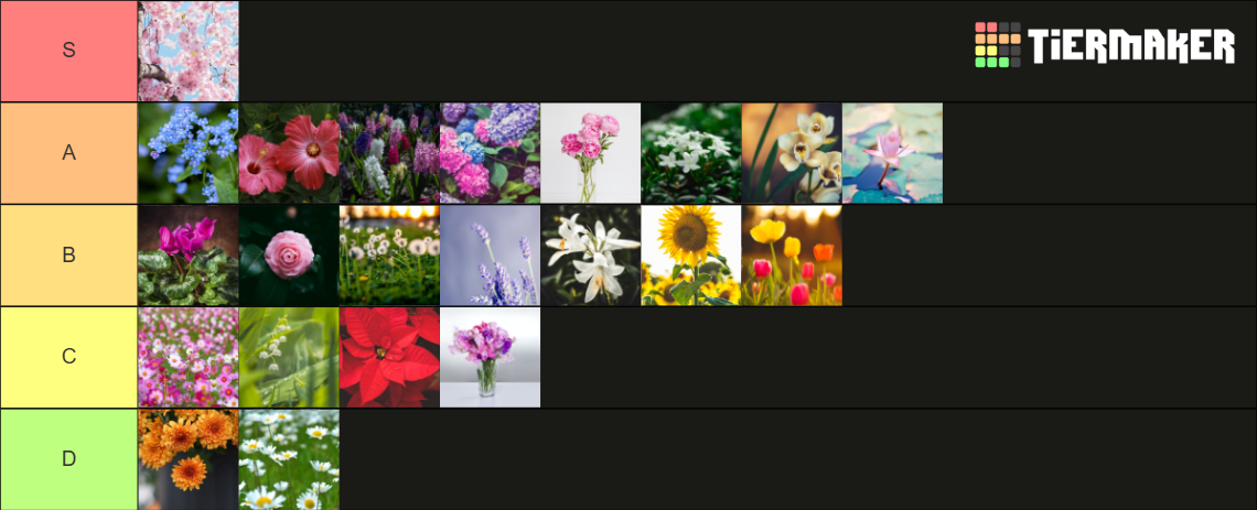 (Popular) Flowers Tier List (Community Rankings) - TierMaker
