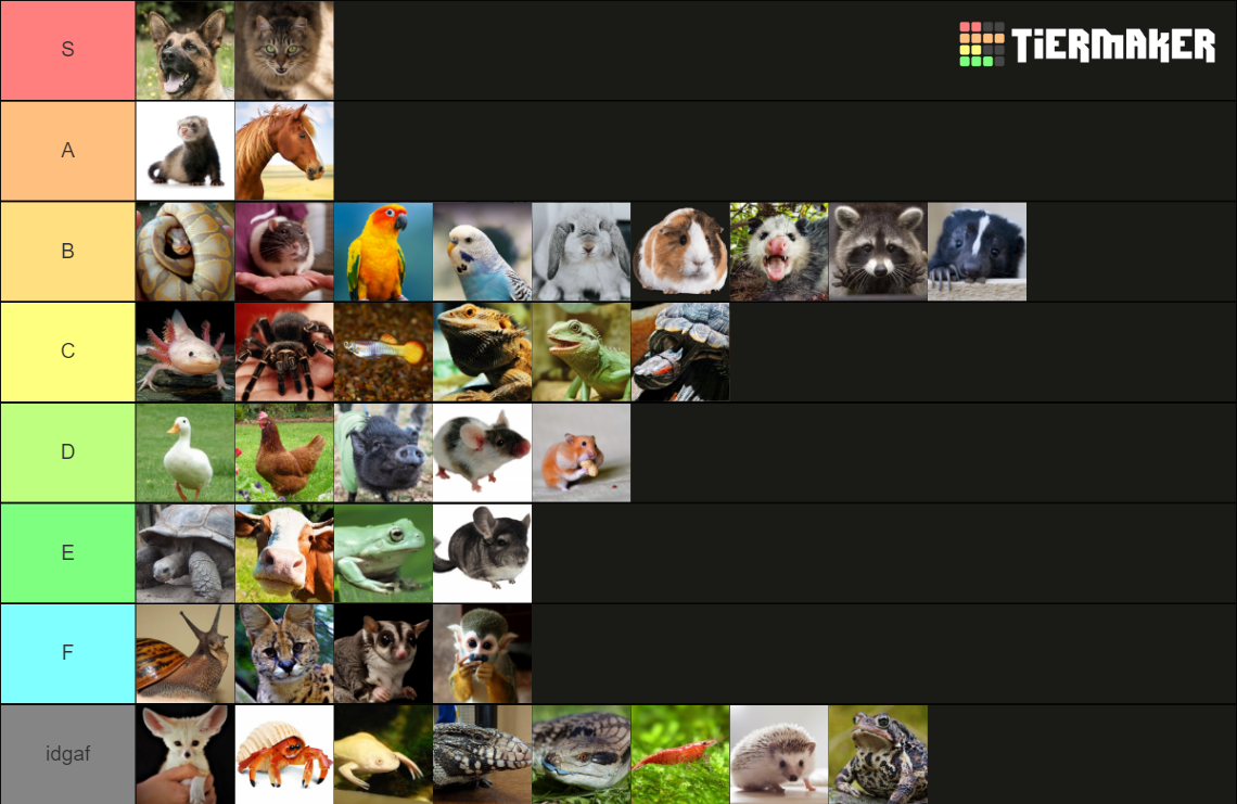 ULTIMATE PET TIER LIST Tier List (Community Rankings) - TierMaker