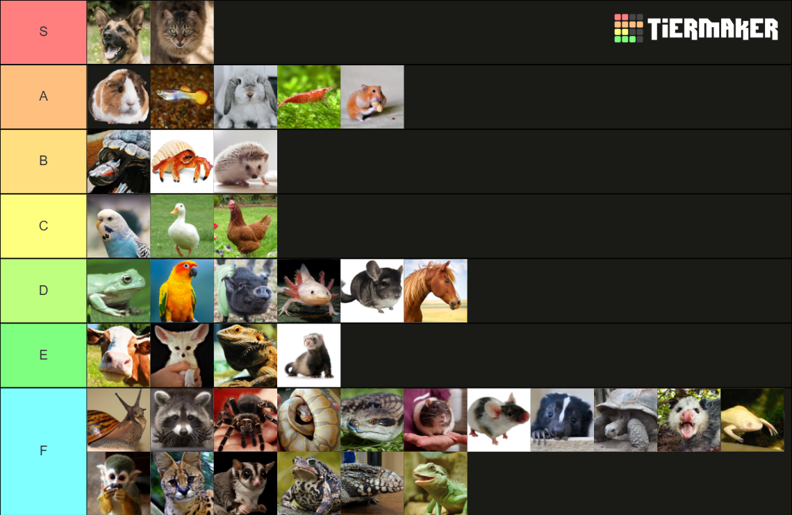 ULTIMATE PET TIER LIST Tier List (Community Rankings) - TierMaker