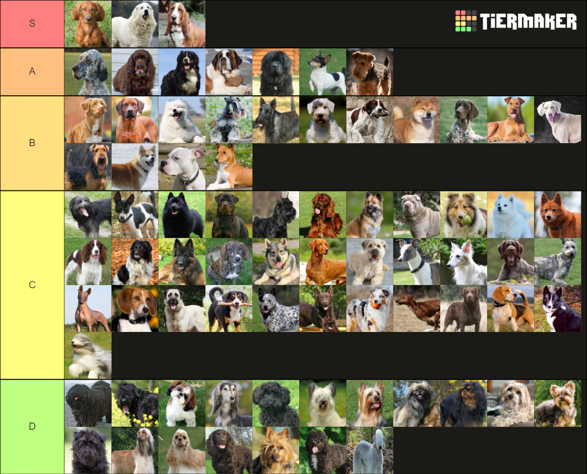 Dog Breeds Tier List (Community Rankings) - TierMaker