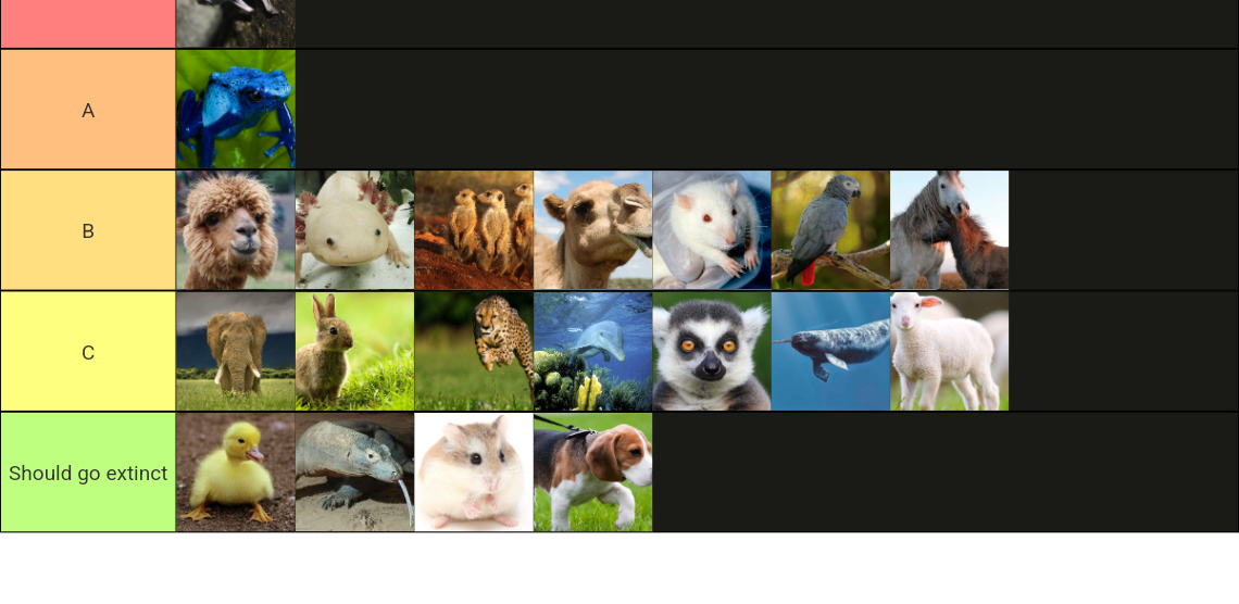 Animals Tier List (Community Rankings) - TierMaker
