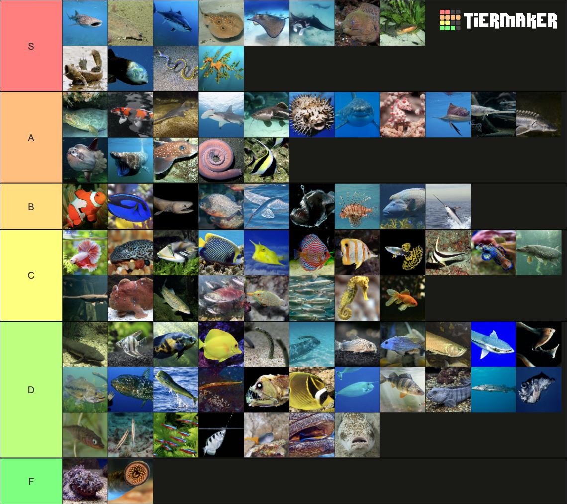 Fish Tier List (Community Rankings) - TierMaker