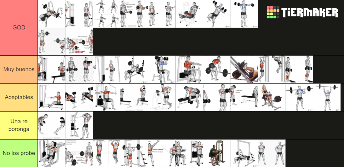 Ejercicios del Gym Tier List (Community Rankings) - TierMaker