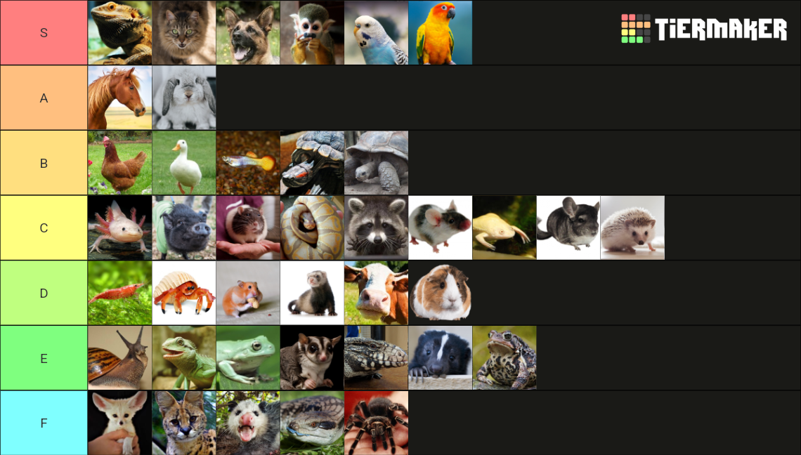 Recent Animals Tier Lists - TierMaker