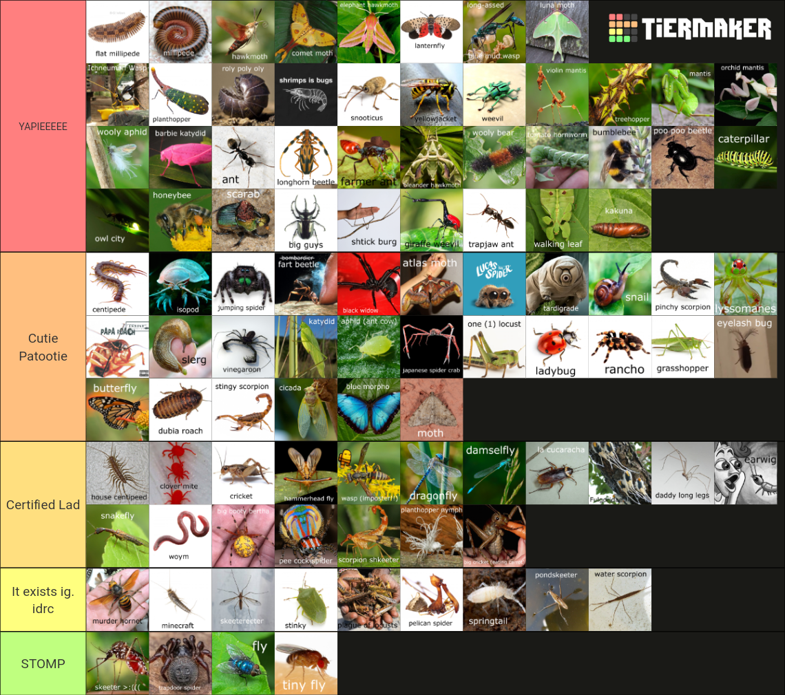 Bugs (Exhaustive & Labeled) Tier List (Community Rankings) - TierMaker