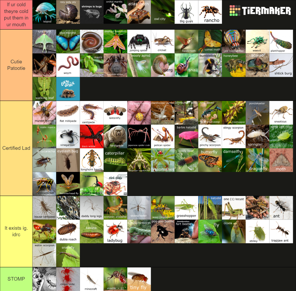Bugs (Exhaustive & Labeled) Tier List (Community Rankings) - TierMaker