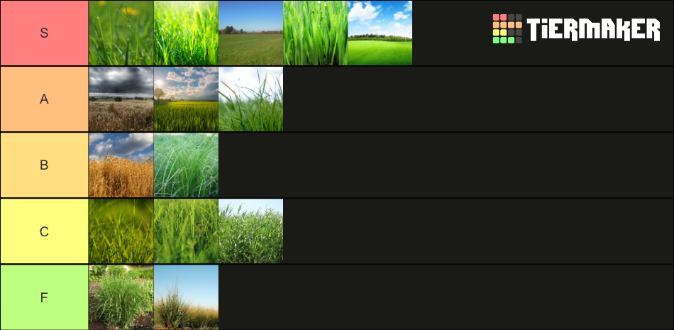 Grass Tier List (Community Rankings) - TierMaker