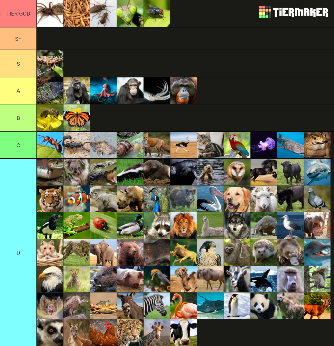 TIER LIST 100 ANIMALES SUPER DEFINITIVO Tier List (Community Rankings ...