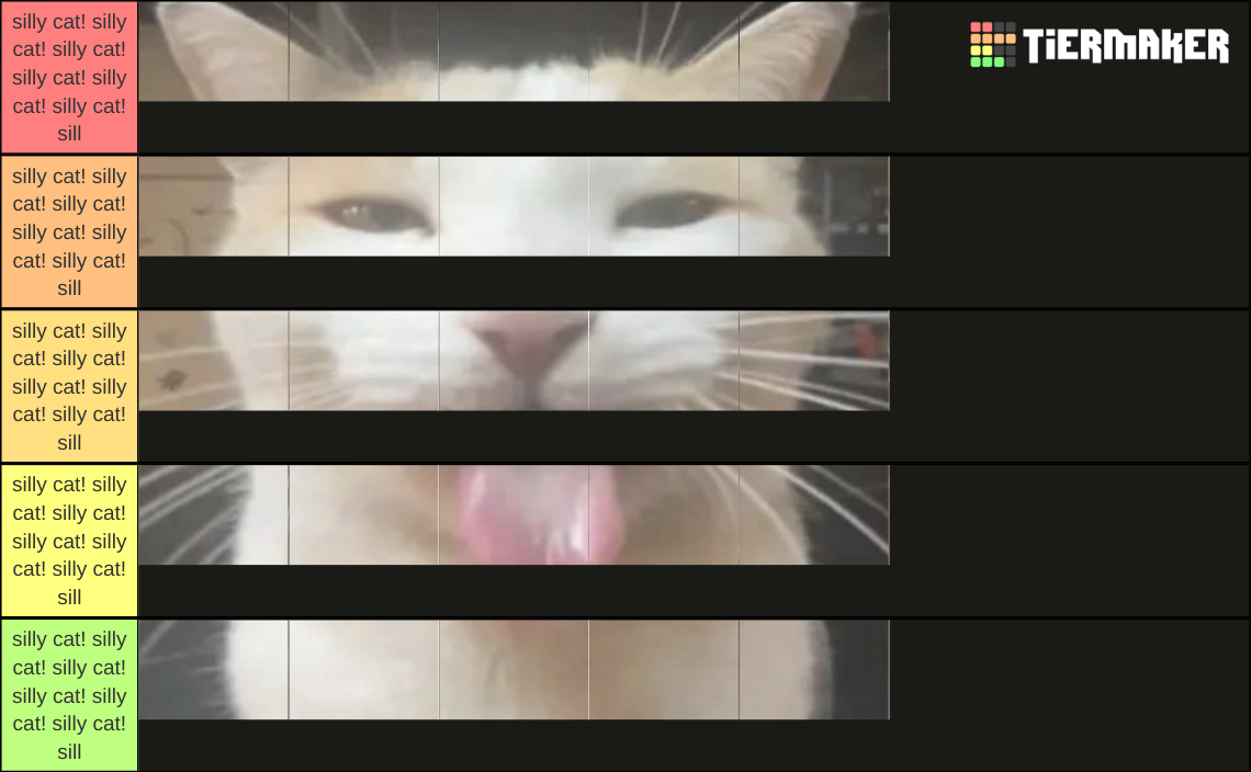 silly cat! silly cat! silly cat! silly cat! silly cat! silly Tier List ...