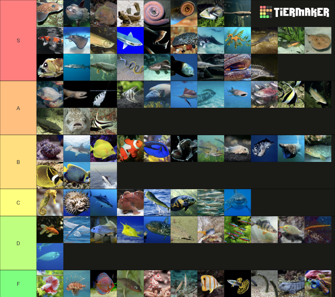 Fish Tier List (Community Rankings) - TierMaker