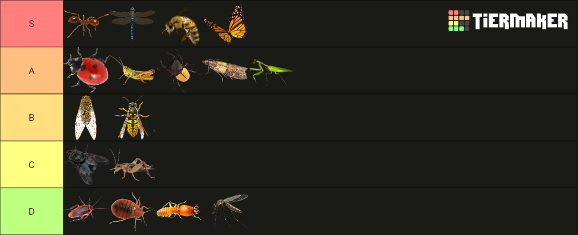 Insects Tier List (Community Rankings) - TierMaker