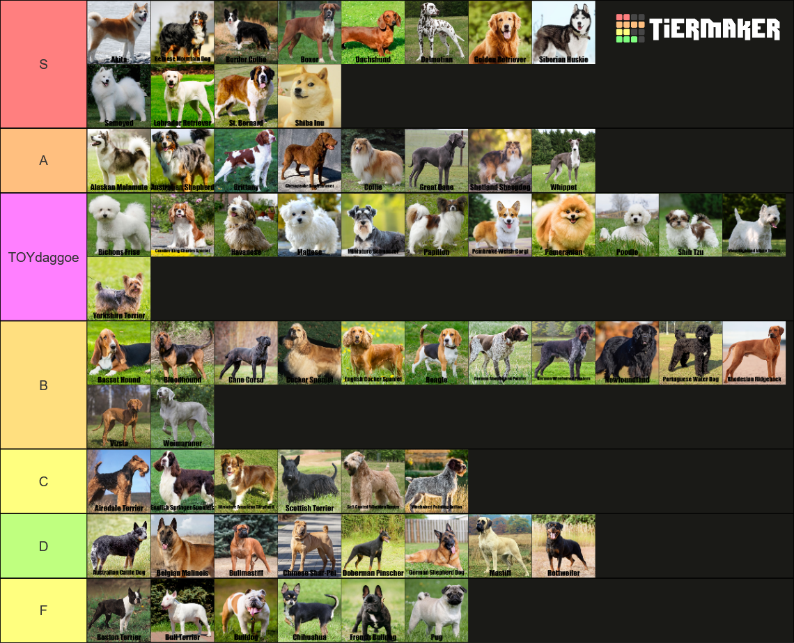 Dog Breeds Tier List (Community Rankings) - TierMaker