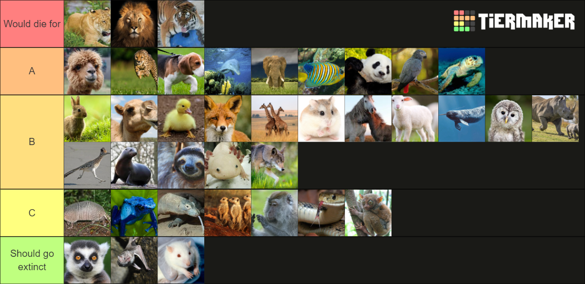 Animals Tier List (Community Rankings) - TierMaker