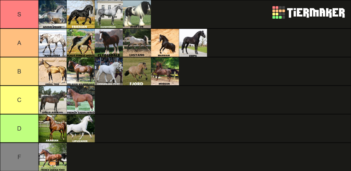 Horse breeds Tier List (Community Rankings) - TierMaker