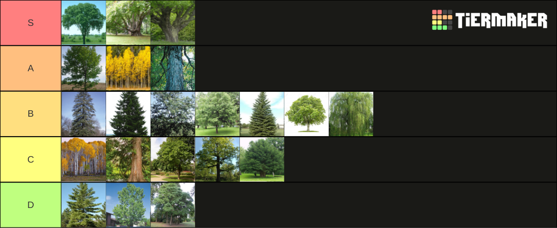 Trees Tier List (Community Rankings) - TierMaker