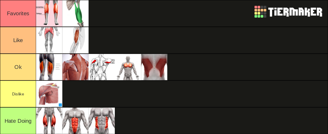 Muscle Groups Tier List (Community Rankings) - TierMaker
