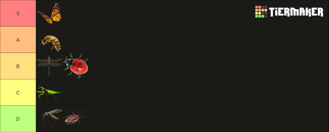 Insects Tier List (Community Rankings) - TierMaker