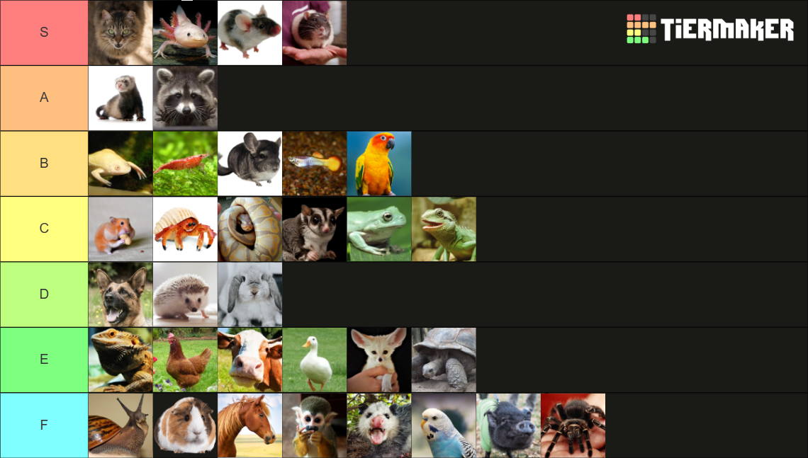 ULTIMATE PET TIER LIST Tier List (Community Rankings) - TierMaker