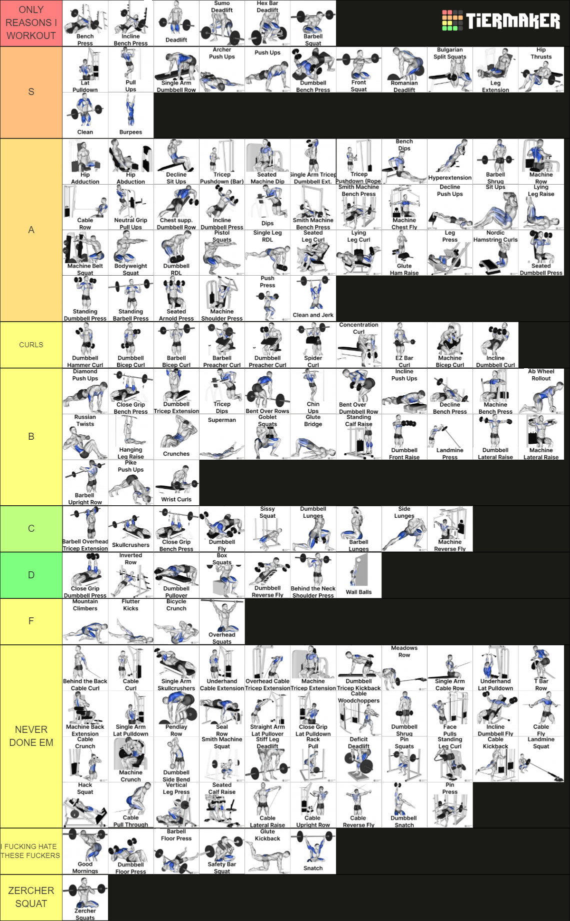 Best Gym Exercises (100+) Tier List (Community Rankings) - TierMaker