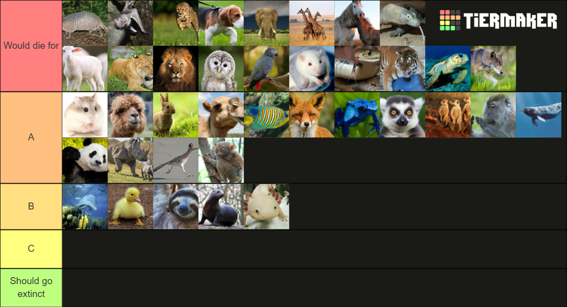 Animals Tier List (Community Rankings) - TierMaker