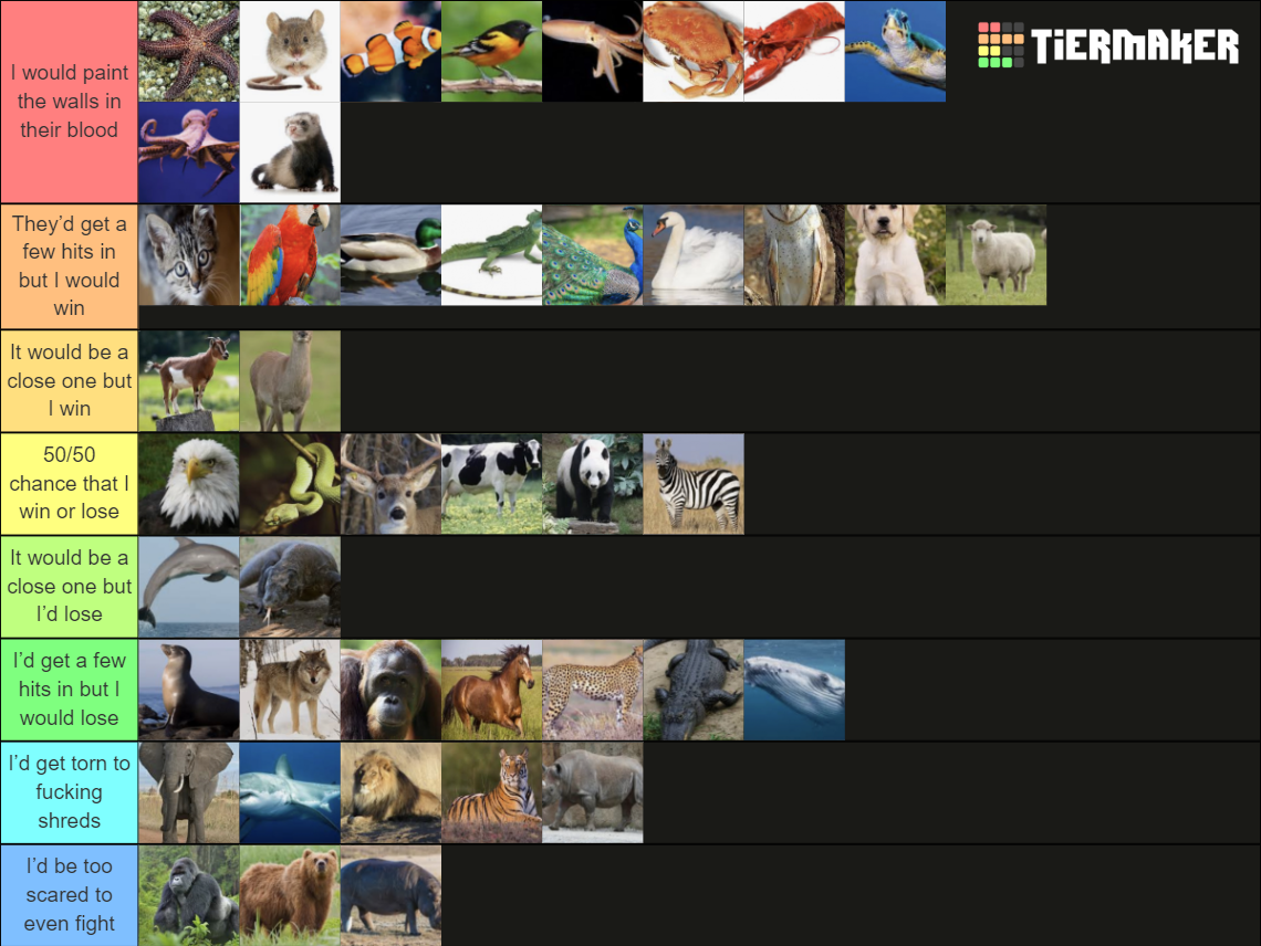 Animals I could beat in a fight Tier List (Community Rankings) - TierMaker