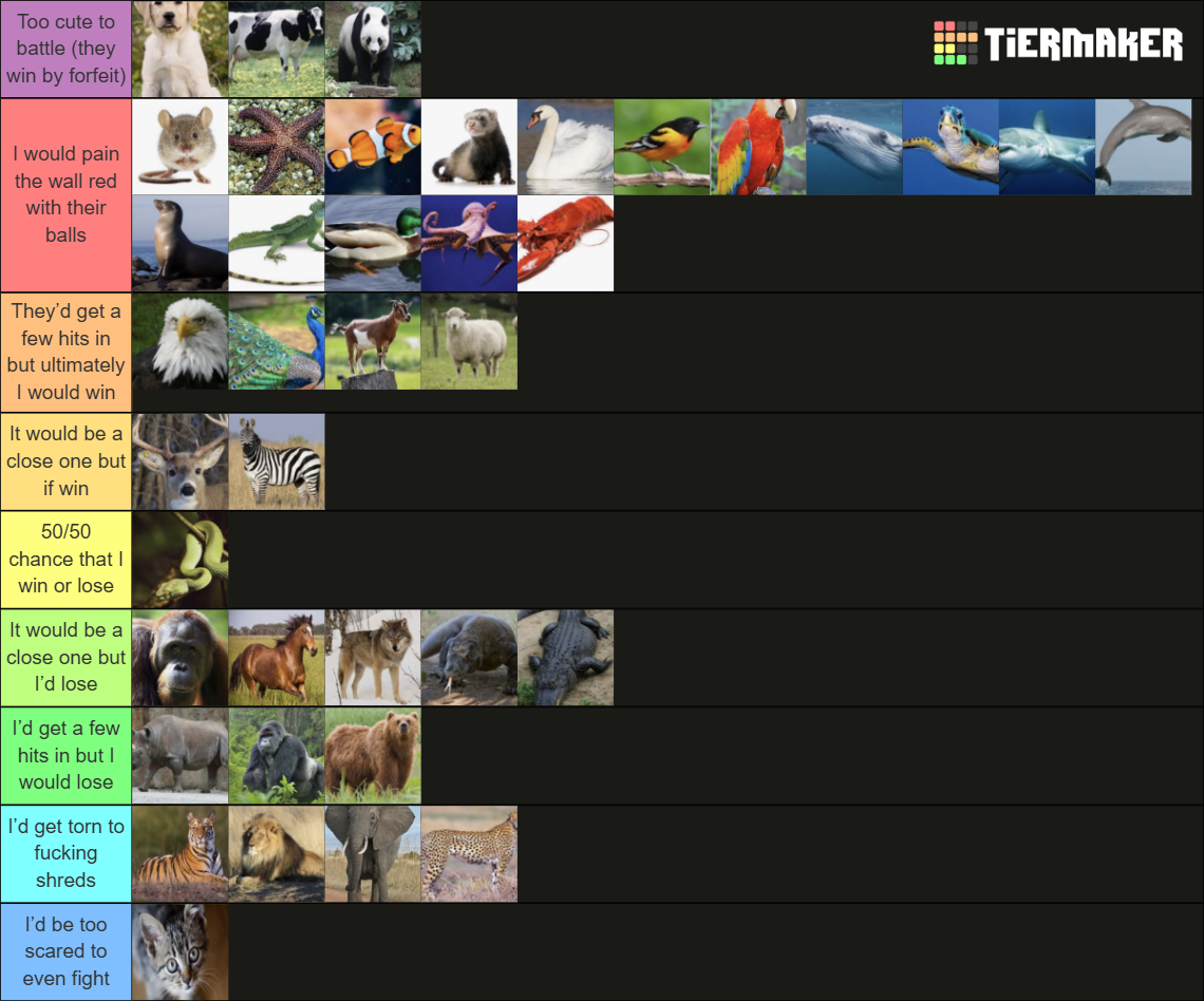 Animals I could beat in a fight Tier List (Community Rankings) - TierMaker