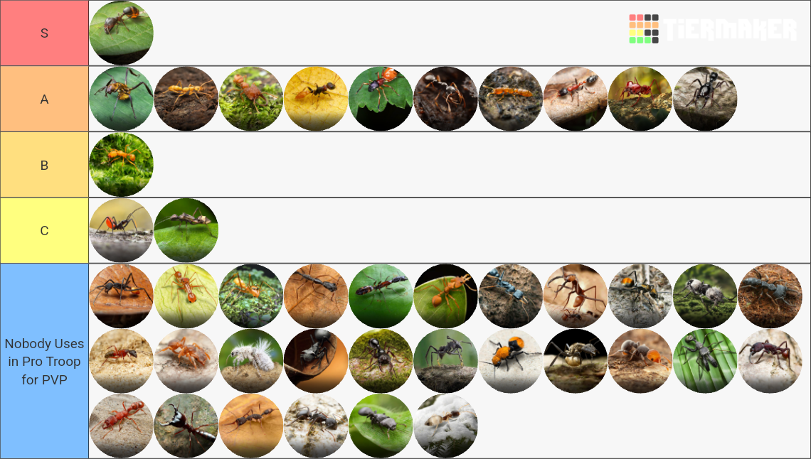The Ants: Underground Kingdom - Orange Combat Special Ants Tier List ...