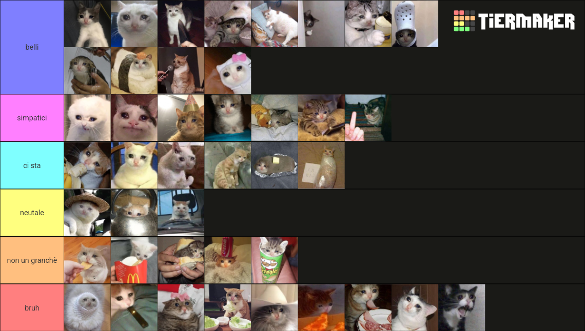 Crying Cats Tier List (Community Rankings) - TierMaker