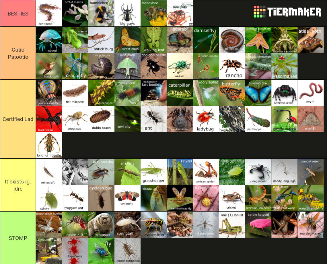 Bugs (Exhaustive & Labeled) Tier List (Community Rankings) - TierMaker